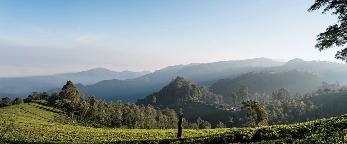 What To Do In The Nilgiris