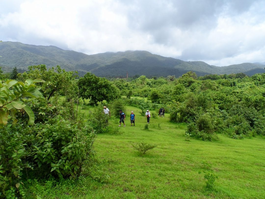 Things to do in Goa in August