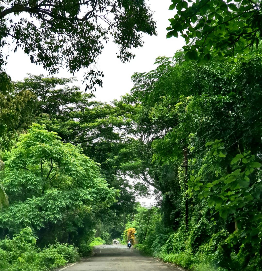 Alibaug - A land of history, culture and architectural jewels - Isprava