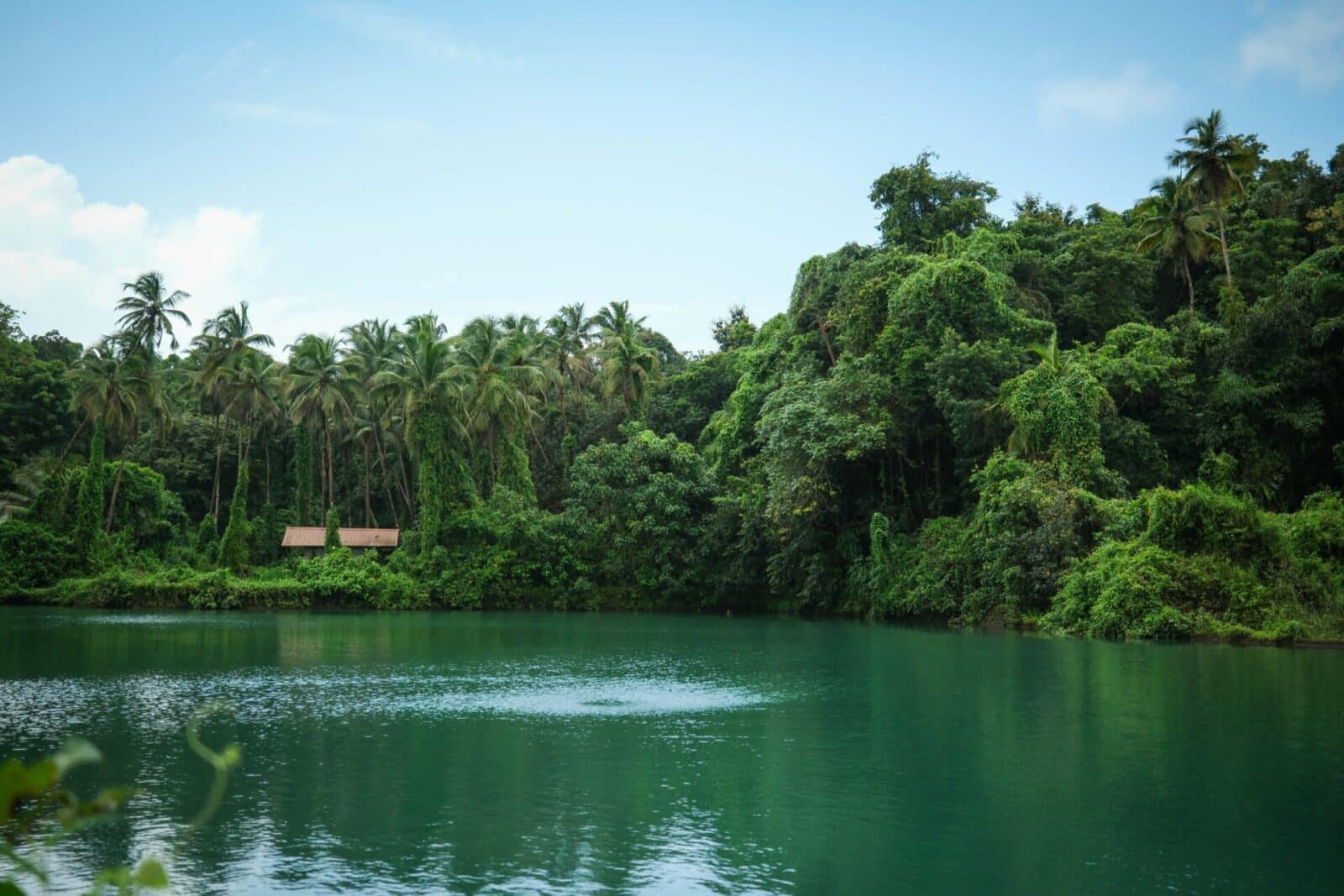 Discover Colvale, Goa: A Hidden Gem for Tranquil Living | Isprava Blog