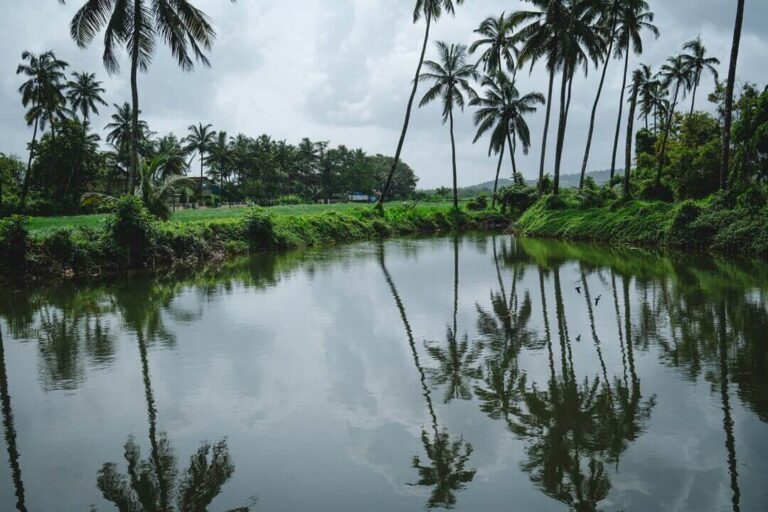 Luxury villas in North goa for sale | Isprava