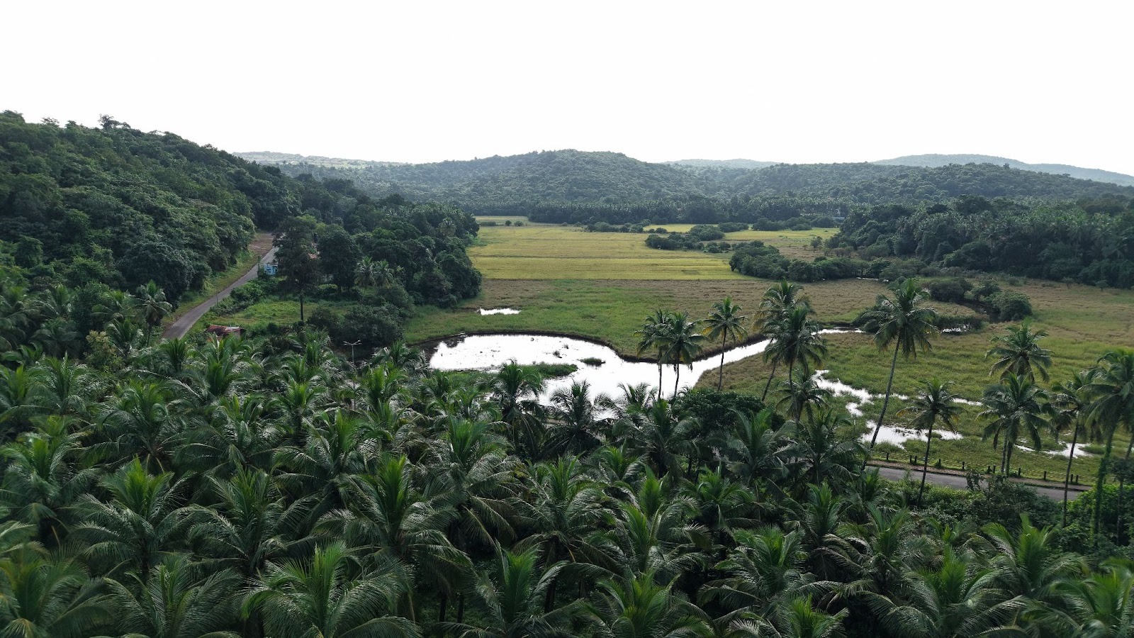 Inside South Goa: Where Culture and Conscious Luxury Converge